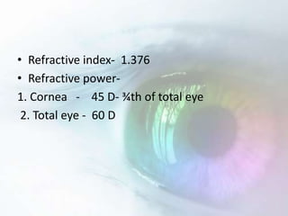 Cornea anatomy | PPTX