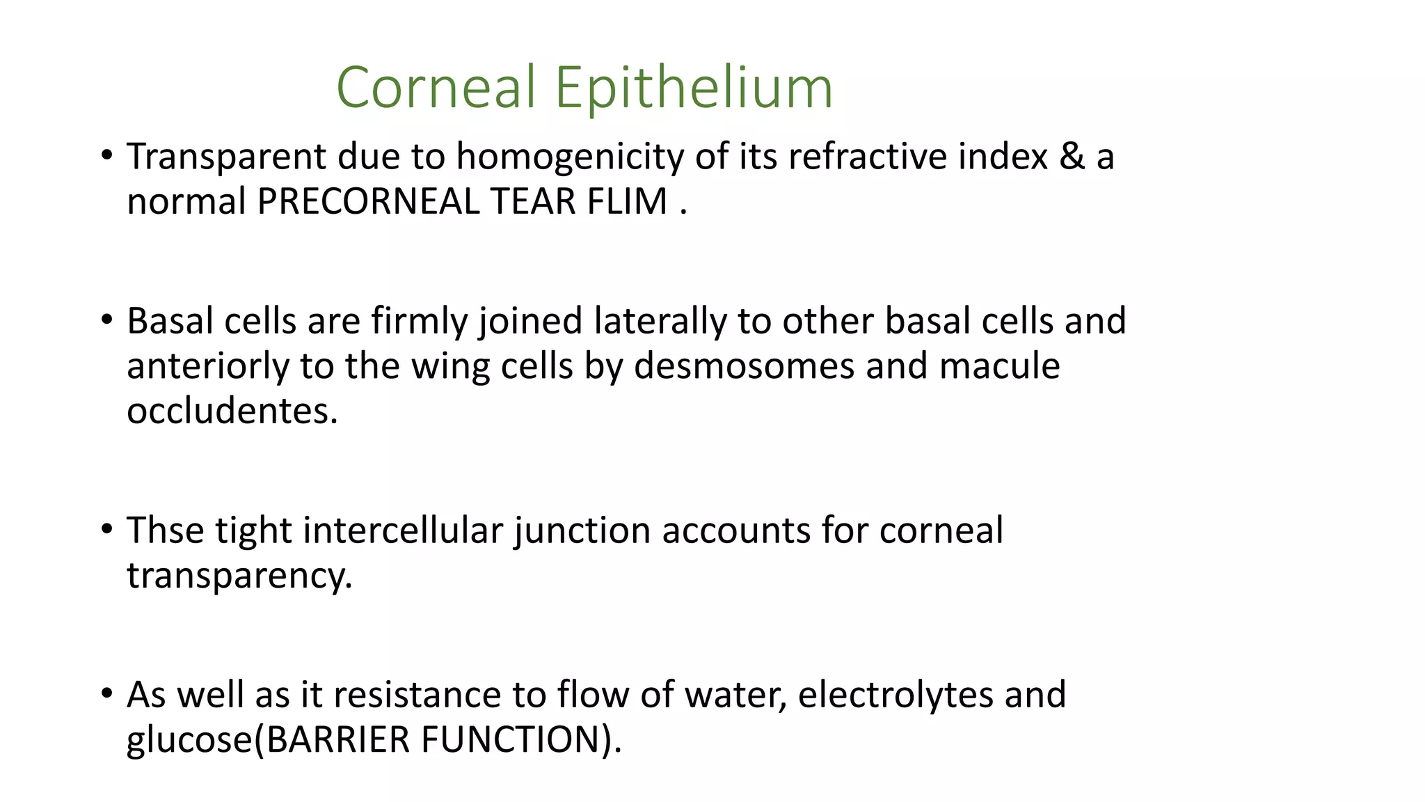 Cornea anatomy & physiology | PPTX