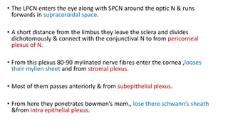 Cornea anatomy & physiology | PPTX