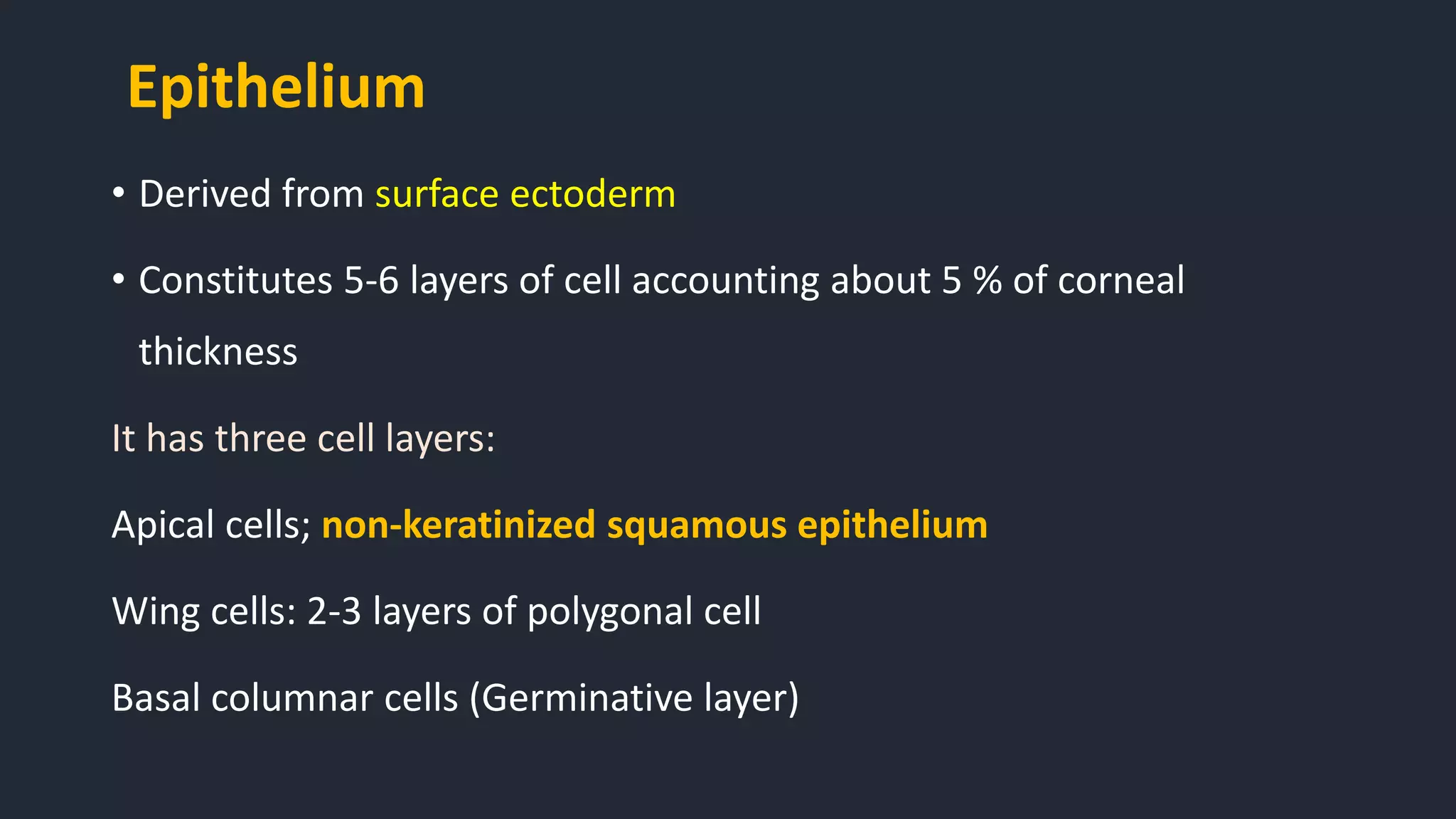 Cornea Applied anatomy.pptx