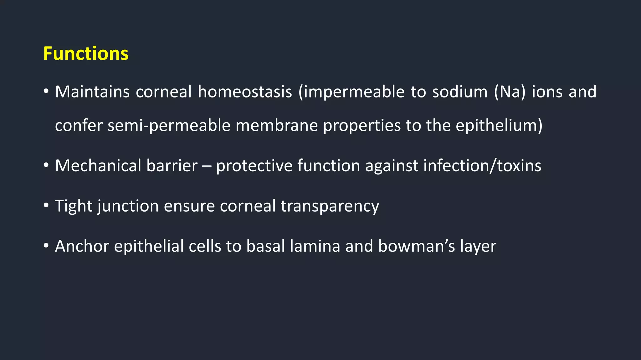 Cornea Applied anatomy.pptx