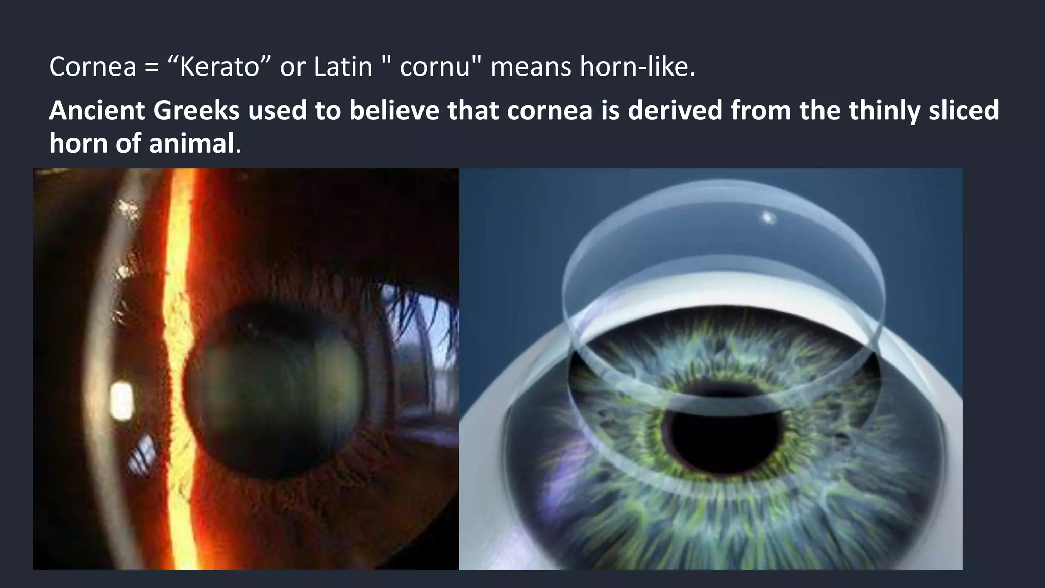 Cornea Applied anatomy.pptx
