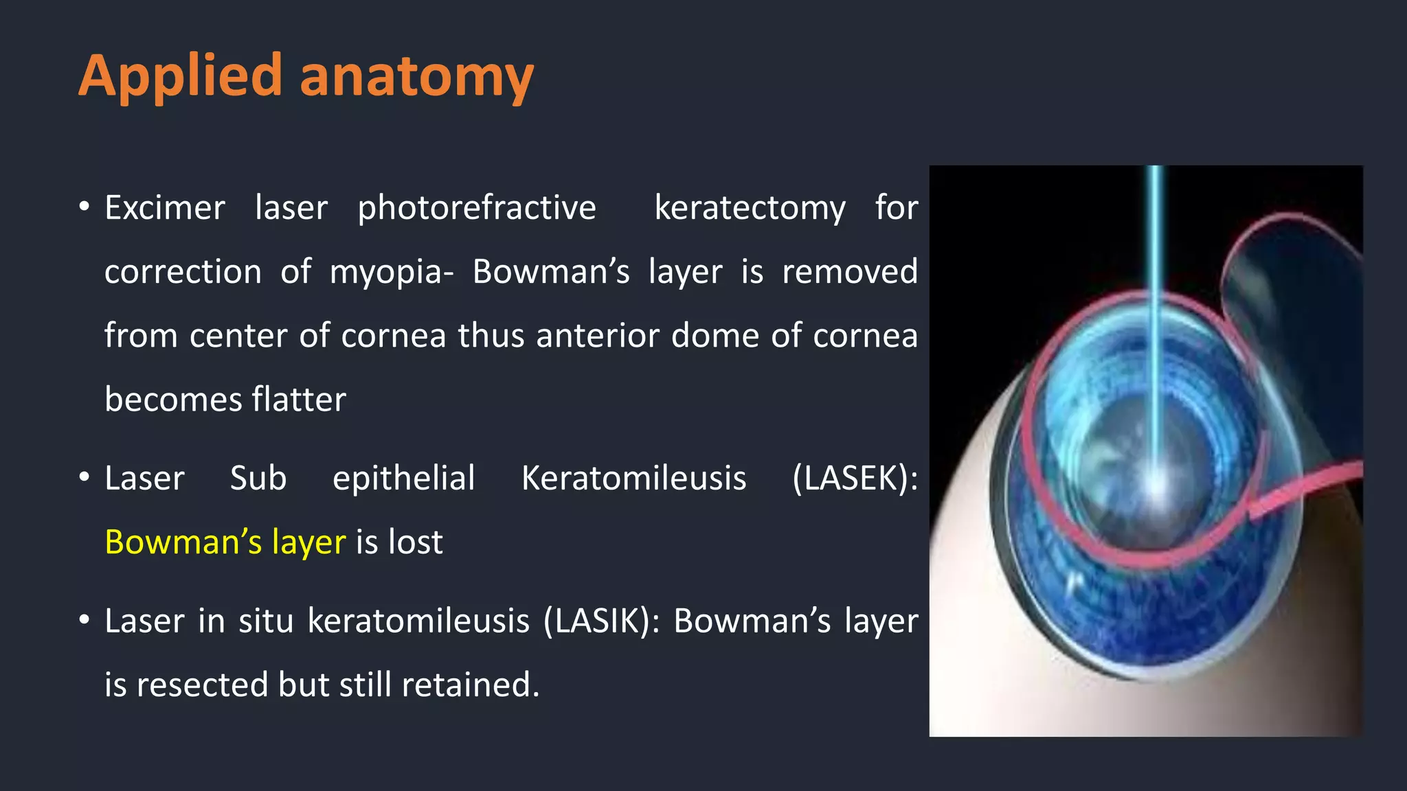 Cornea Applied anatomy.pptx