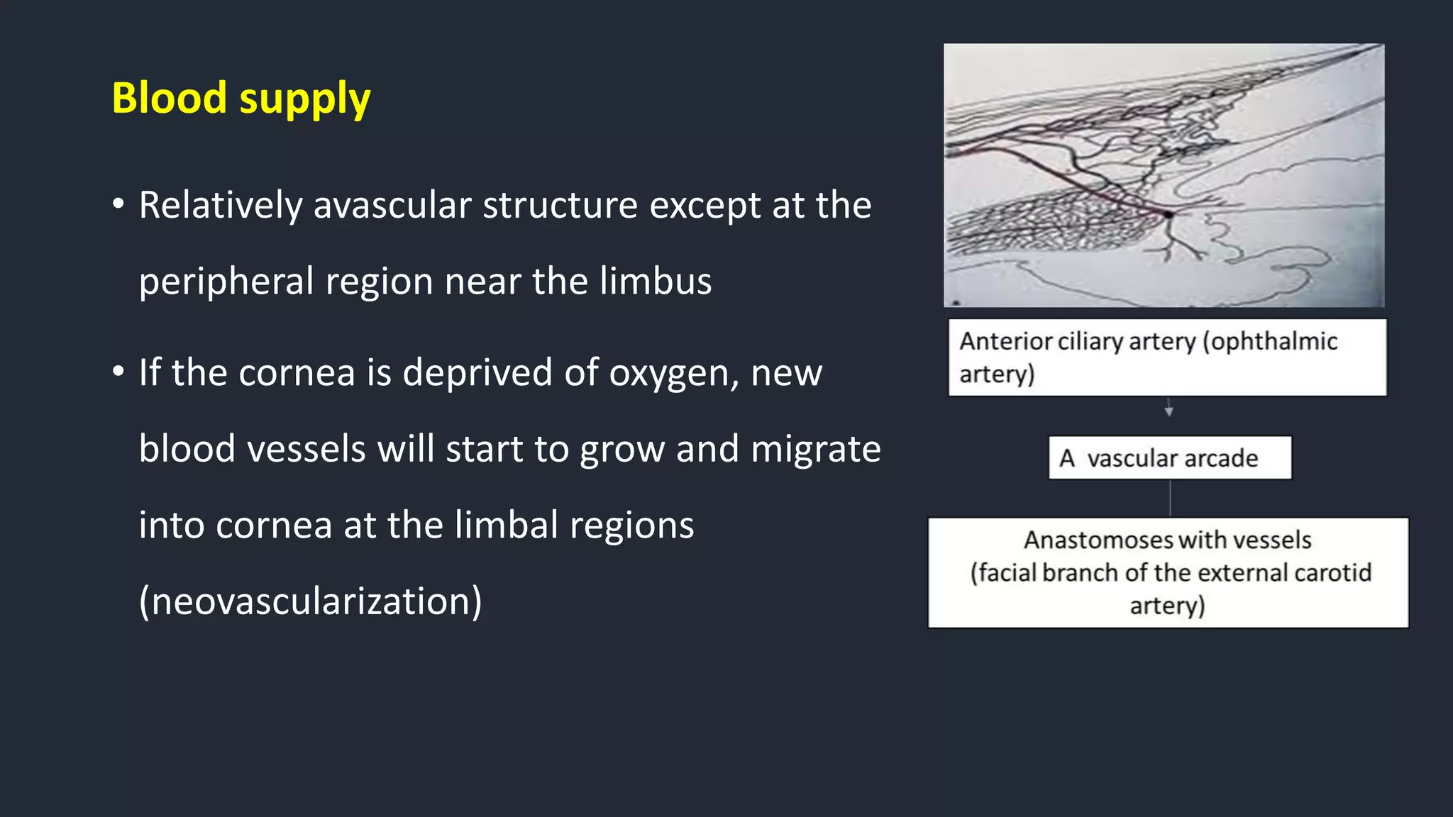 Cornea Applied anatomy.pptx