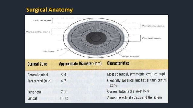Cornea Applied anatomy.pptx