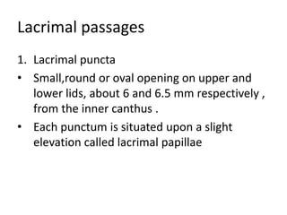 Anatomy of lacrimal apparatus and conjunctiva | PPTX