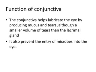 Anatomy of lacrimal apparatus and conjunctiva | PPTX
