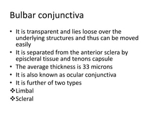 Anatomy of lacrimal apparatus and conjunctiva | PPTX