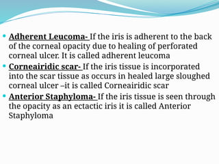 CORNEA DISORDERS.pptx opacities of cornea | PPT