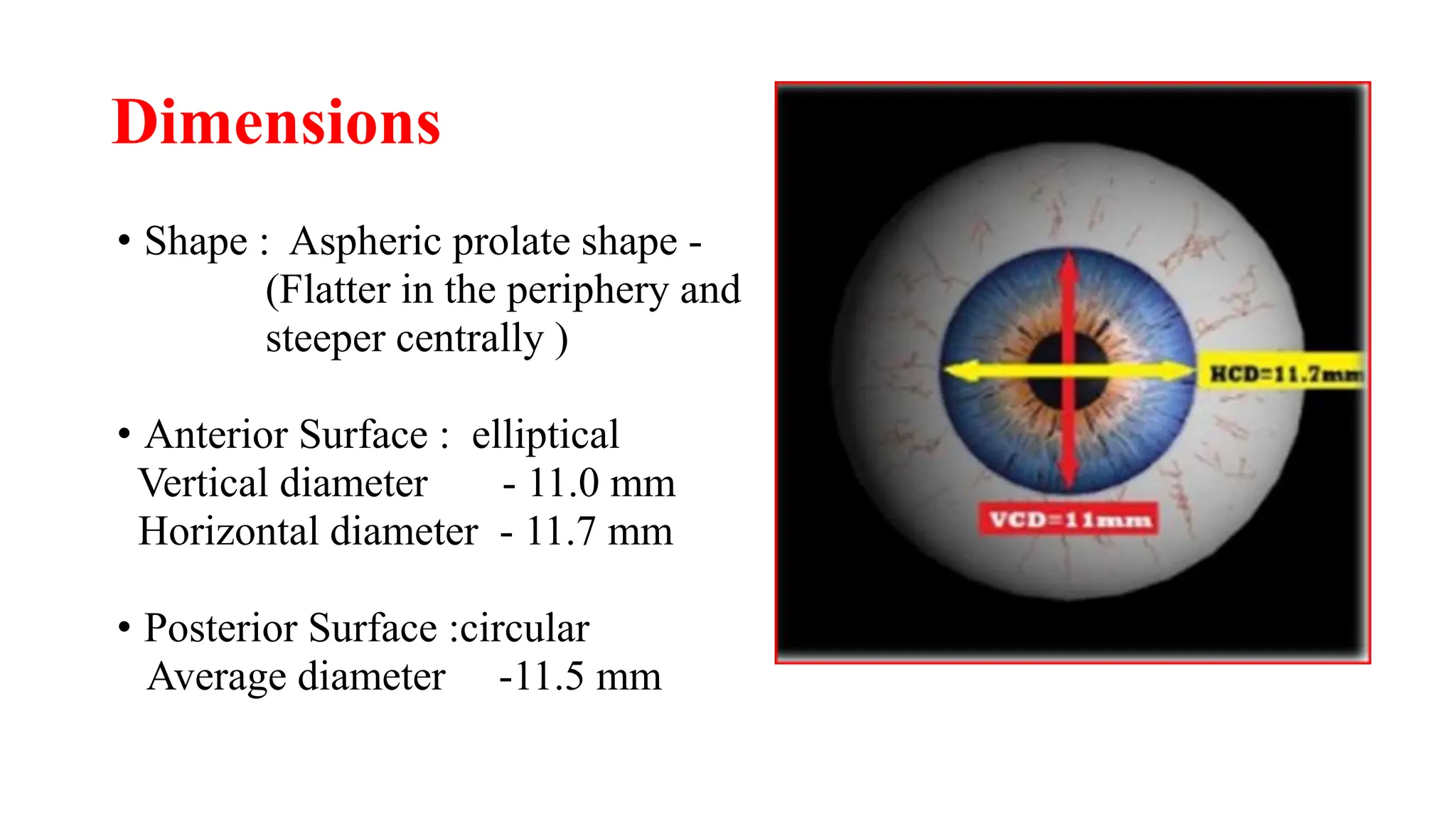 Corneal anatomy and anatomy of limbus ! | PPTX | Eye and Vision ...