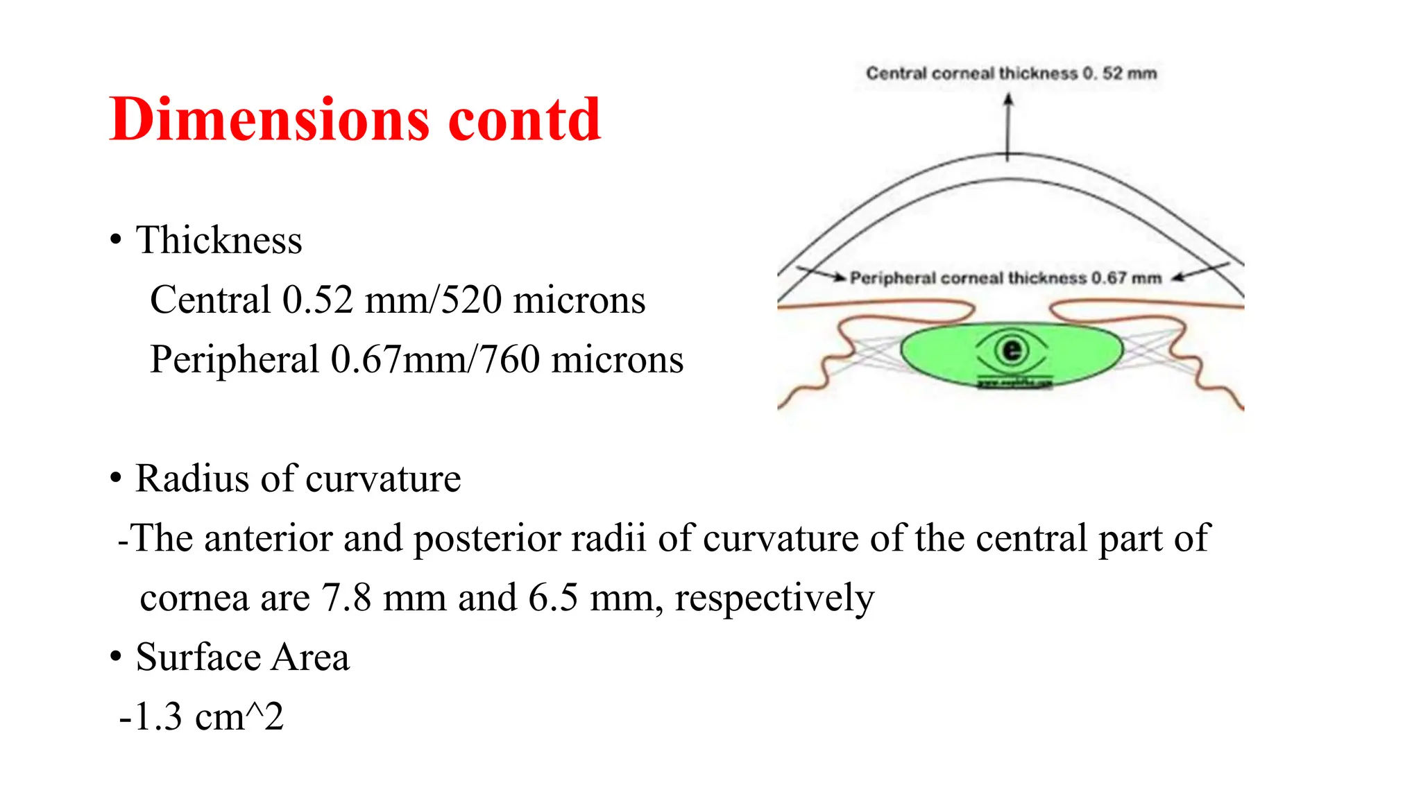 Corneal anatomy and anatomy of limbus ! | PPTX