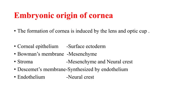 Corneal anatomy and anatomy of limbus ! | PPTX | Eye and Vision ...