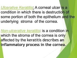 cornea inflammation and infections.pdf