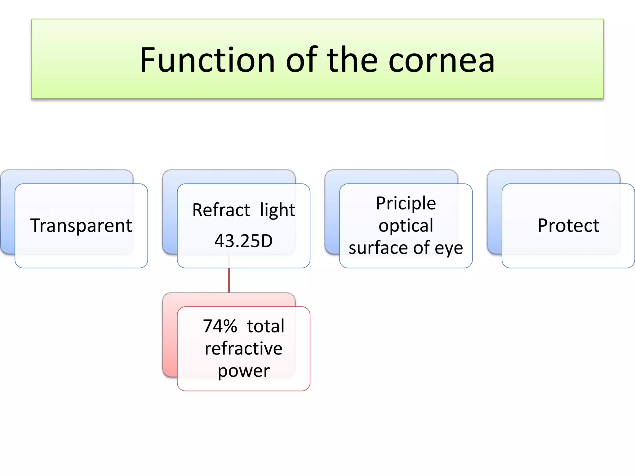 Corneal anatomy | PPTX