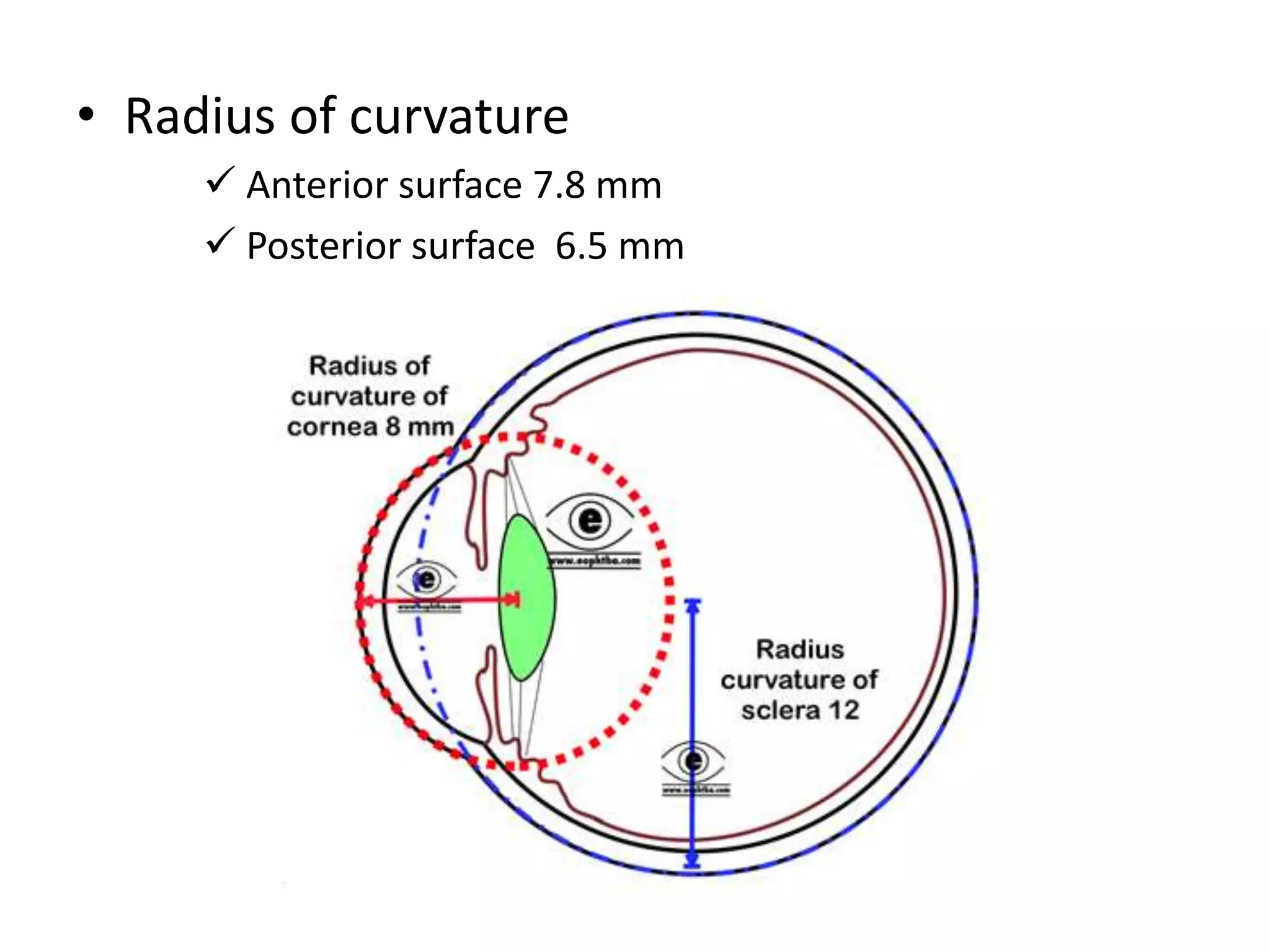 Corneal anatomy | PPTX