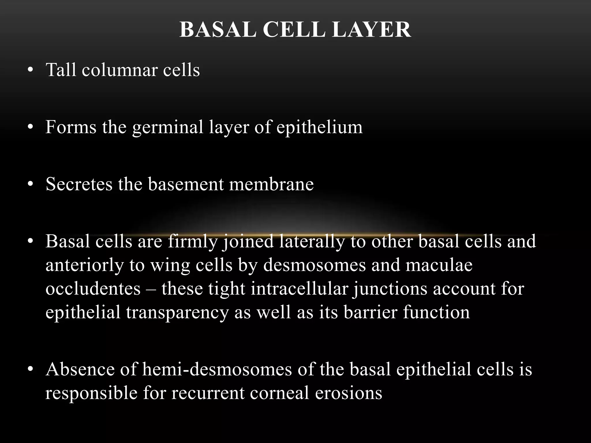 Corneal anatomy and physiology 2 | PPTX