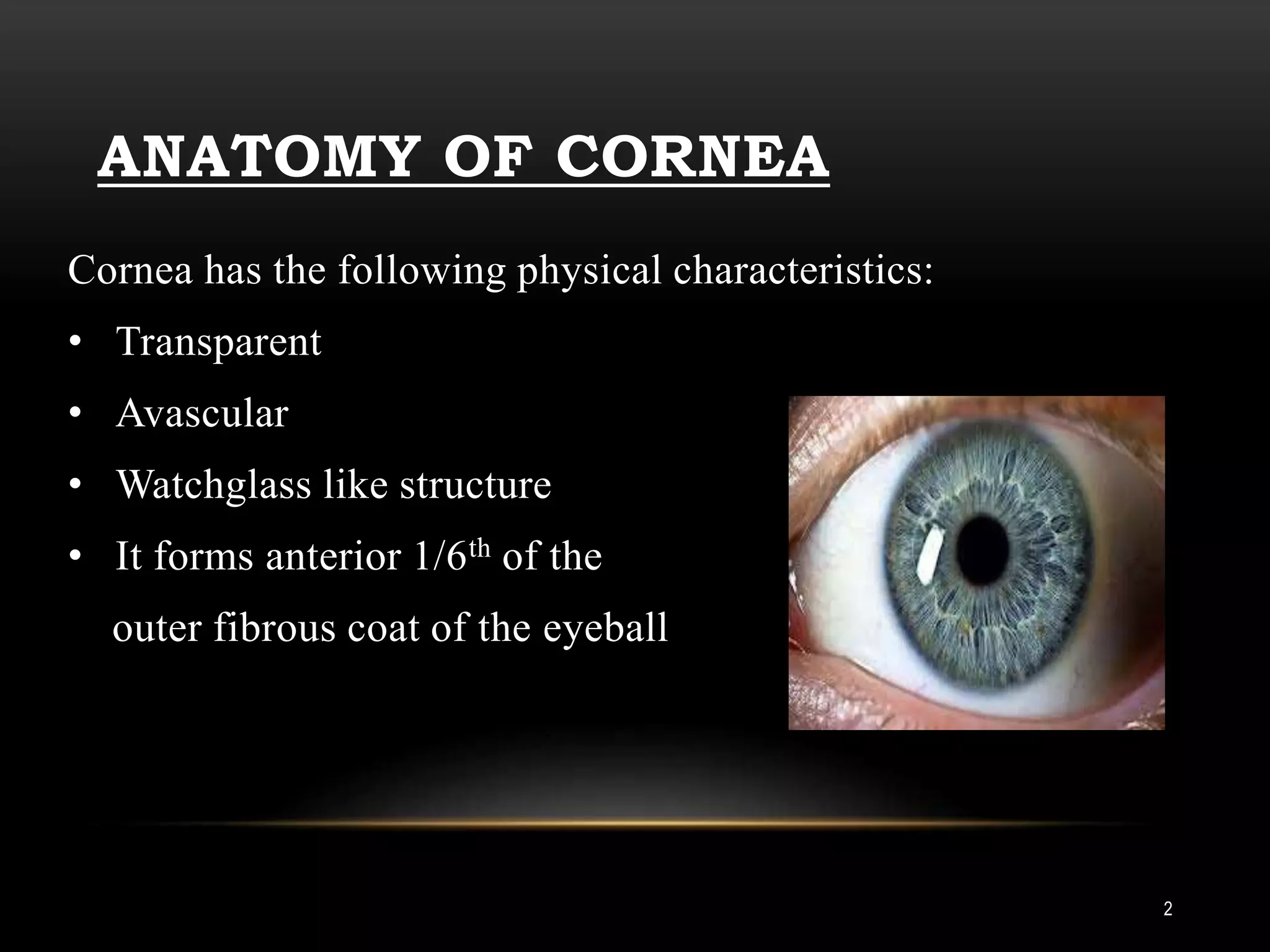Corneal anatomy and physiology 2 | PPTX