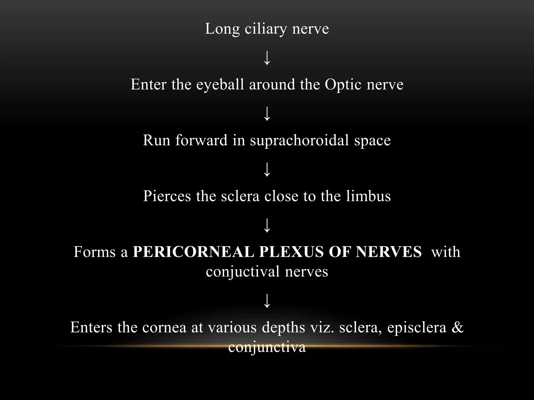 Corneal anatomy and physiology 2 | PPTX