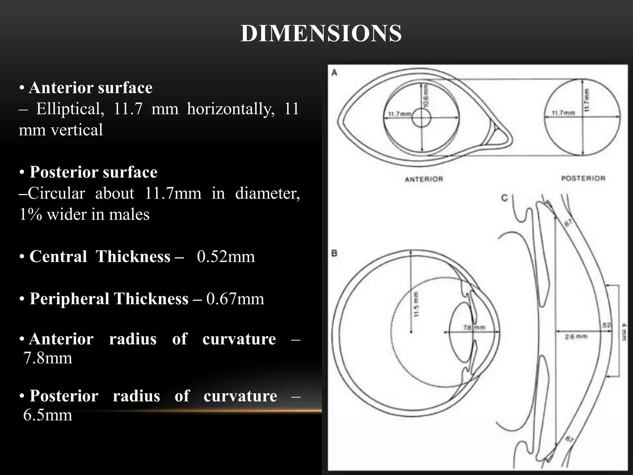Corneal anatomy and physiology 2 | PPTX