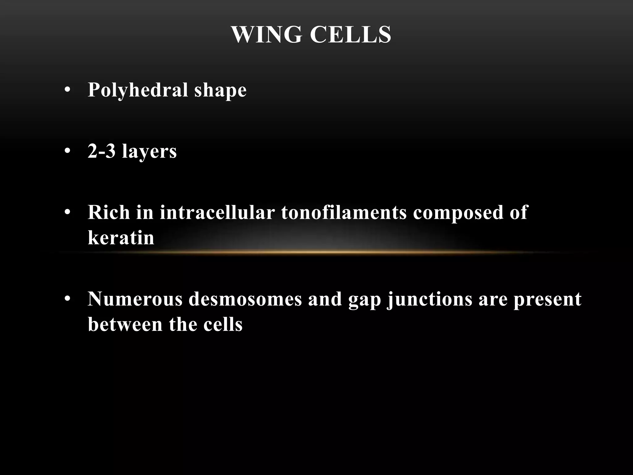 Corneal anatomy and physiology 2 | PPTX