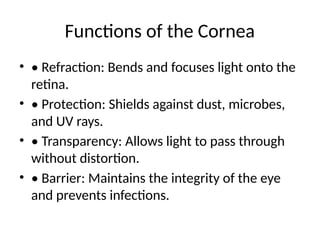 Corneal_Anatomy_Presentation.pptx....... | PPT