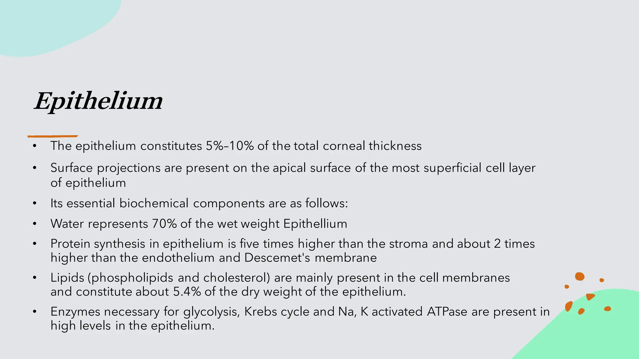 Corneal Biochemistry- Ocular Biochemistry | PDF