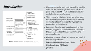 Corneal Biochemistry- Ocular Biochemistry | PDF