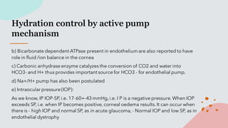 Corneal Biochemistry- Ocular Biochemistry | PDF