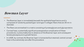 Corneal Biochemistry- Ocular Biochemistry | PDF