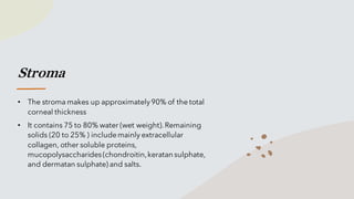 Corneal Biochemistry- Ocular Biochemistry | PDF