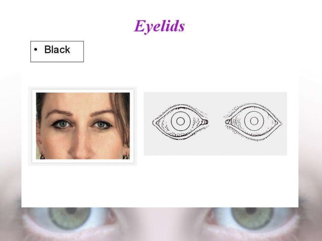 Eye colour coding | PPTX
