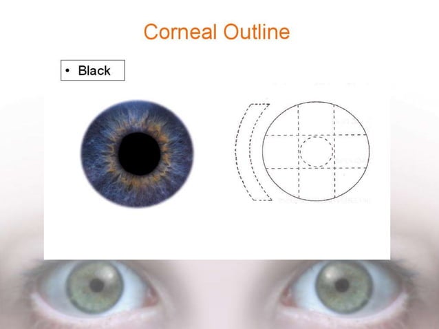 Eye colour coding | PPTX