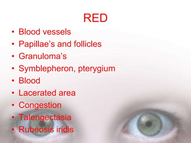 Eye Colour Coding Pptx 4921