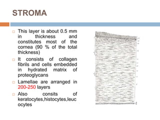 Corneal curvature and thickness | PPTX