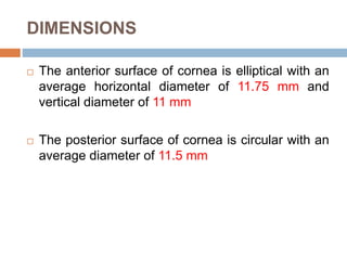 Corneal curvature and thickness | PPTX