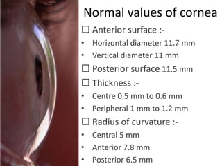 Corneal curvature | PPTX
