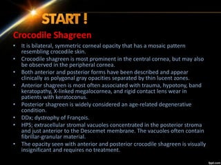 Corneal degeneration & depos | PPT