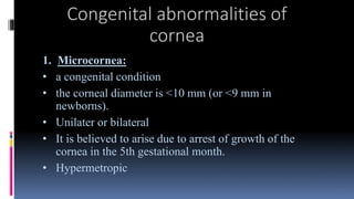 Corneal diseases | PPTX