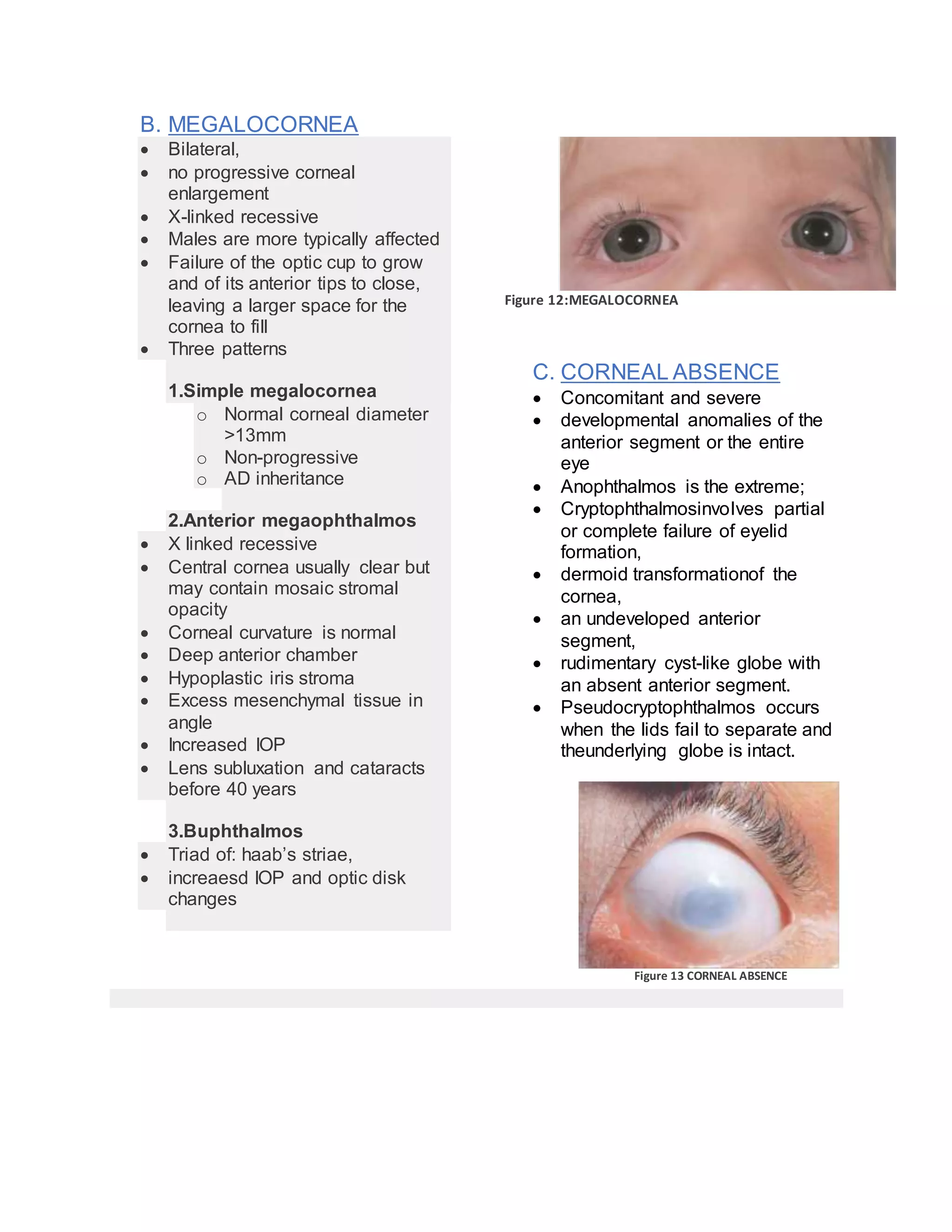 Corneal Diseases.docx