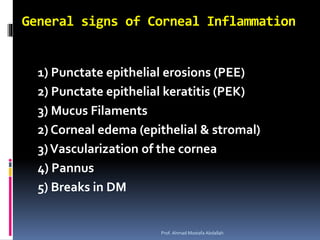 Corneal disorders | PPTX