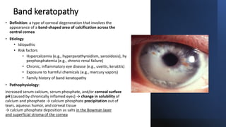 Corneal disorders part 2 | PPTX