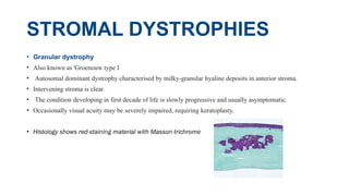 corneal dystrophies. diseases of cornea. | PPTX