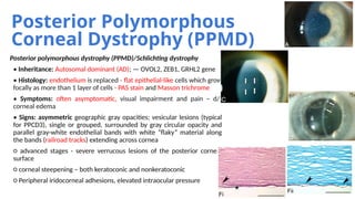 CORNEAL DYSTROPHIES AND DEGENERATIONS w IC3D classification.pptx