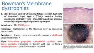 CORNEAL DYSTROPHIES AND DEGENERATIONS w IC3D classification.pptx
