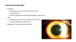Fleck Corneal Dystrophy