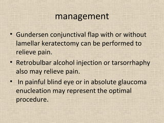 Corneal edema | PPT