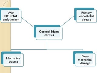 Causes Of Corneal Edema