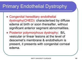 Corneal edema | PPTX | Eye and Vision Conditions | Diseases and Conditions