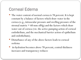 CORNEAL EDEMA approach for undergrads.pptx