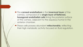 Corneal Endothelium & Applied Aspects.pptx